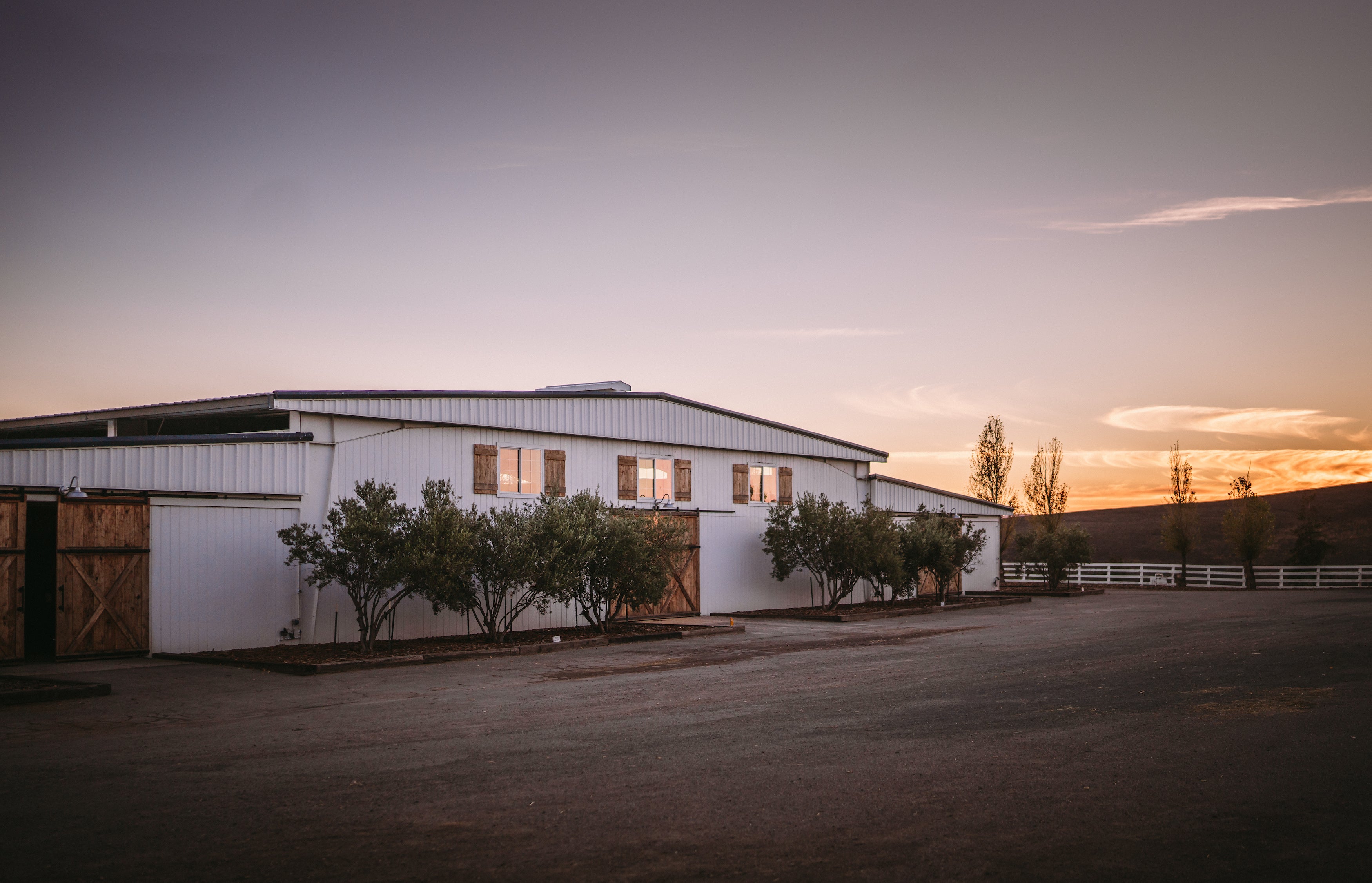 Horse Retirement Boarding + Young Horse Pastures – Willow and Wolf Ranch